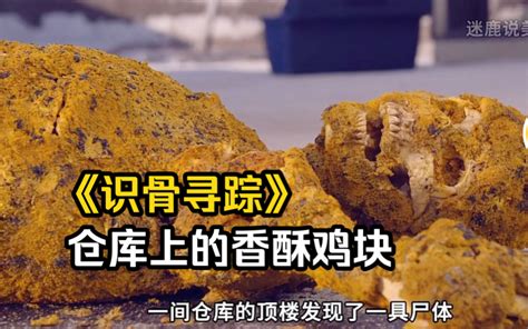 识骨寻踪一栋仓库顶楼发现一具香脆的尸体 火星影视s 火星影视s 哔哩哔哩视频