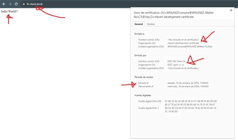Nginx En Docker Compose Error Al Agregar Certificado SSL A Proxy Reverso Para Consumir