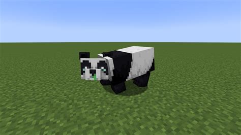 How To Breed Pandas In Minecraft Beebom