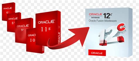 Oracle Database 11g Logo