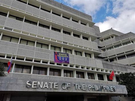 Senate Looking Forward To Having Sheila Guo Cassandra Ong In Pogo Probe