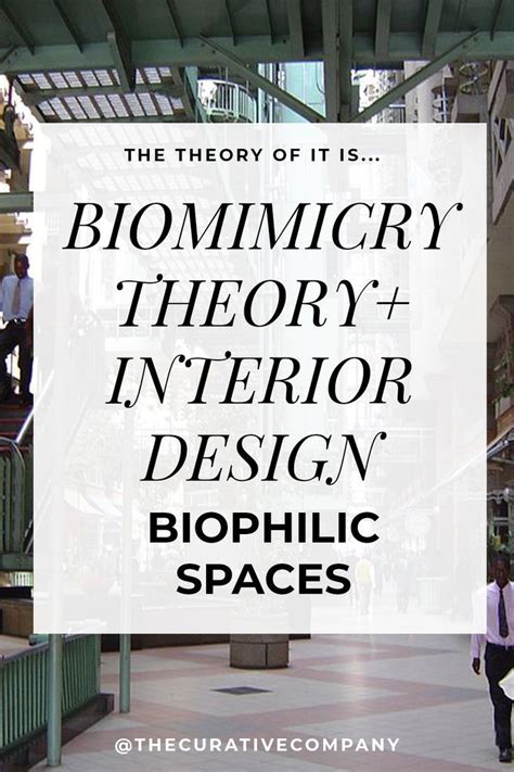 Interior Design And Biomimicry Ideas And Theory Interior Design Concepts Sustainable