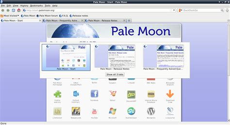 Pale Moon Browser Download Kesilswag