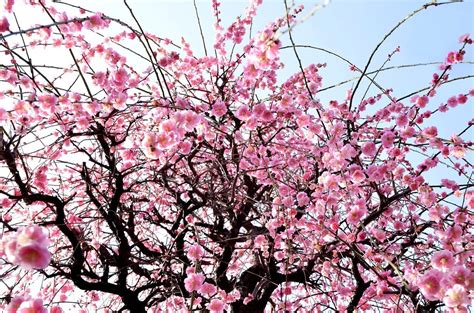 入門初級ハングル継続者様向き一緒に学びます ゆっくりとマイペースにオンラインで勉強してみませんか
