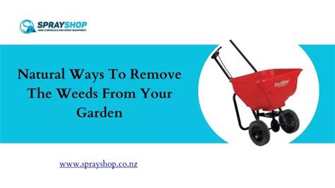 PPT Natural Ways To Remove The Weeds From Your Garden PowerPoint Presentation ID 13034928