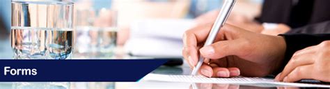 Goaml Reporting Solution Financial Investigations Divisions