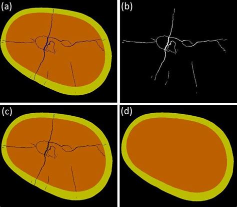Example Of X Ray µct Data Cube Slice By Slice Segmentation With