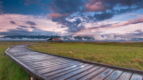 Python Selenium 小技巧之弹出框及下拉框的处理 ＆娴敲棋子＆s Blog