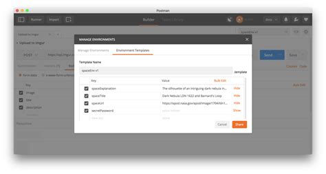 how to setup authorization in postman in collaborative environment stack overflow
