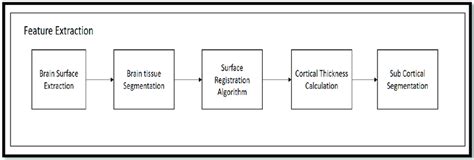Free Surfer Based Feature Extraction From T1 Weighted Mri Scans Of Ad Download Scientific