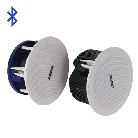 120 230V Input Voltage Active Ceiling Speaker With Bt Indoor Ceiling Speaker And Speaker Wired