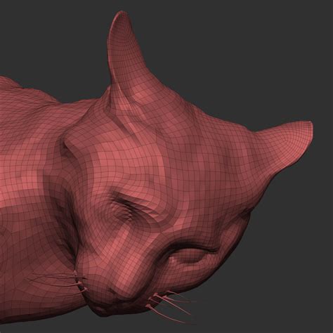 Lying Cat 43 3d Model By Deep3dstudio
