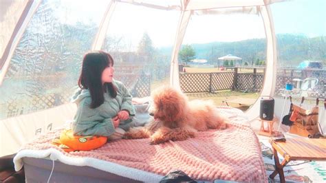 완벽하게 아늑하고 따뜻한 360°투명 텐트안에서 하룻밤 캠핑 🧡 강아지와 초원에서 캠핑🏕 캠핑 애견동반캠핑 캠핑
