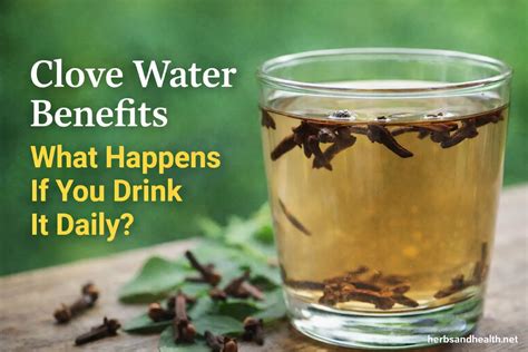 Clove Water Benefits What Happens If You Drink It Daily Herbs And