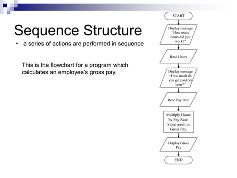 Programming Algorithms And Flowchartppt Programming Languages