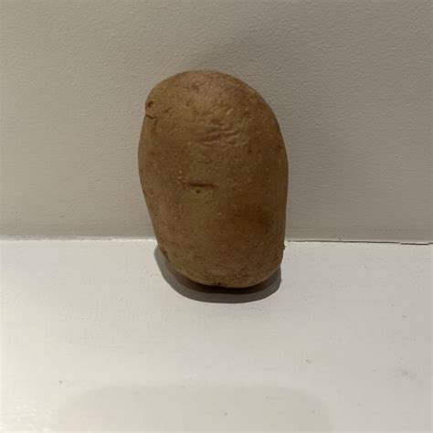 Proj Instance Segmentation Dataset And Pre Trained Model By Tafila Technichal University