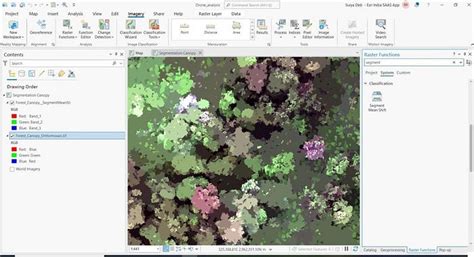 Tree Canopy Extraction Using Segmentation Process In Arcgis Pro Space Remote Sensing And Gis