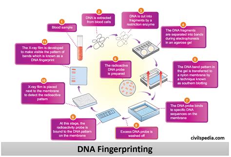 Biotechnology And Its Applications