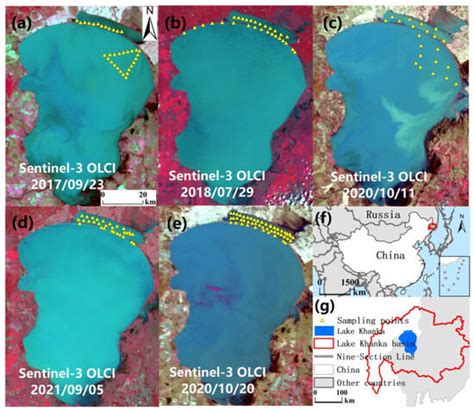 Remote Sensing Estimation Of Cdom And Doc With The Environmental Implications For Lake Khanka