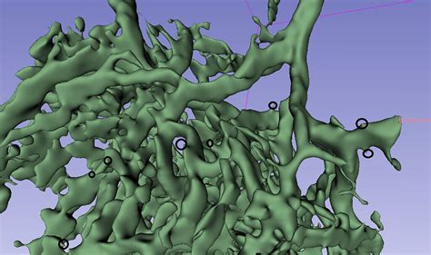 Setting Up The Segmentation Volume For Extract Centerline Module Vmtk 3d Slicer Community