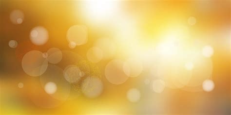 벡터가 배경 흐림 및 Bokeh 프리미엄 벡터