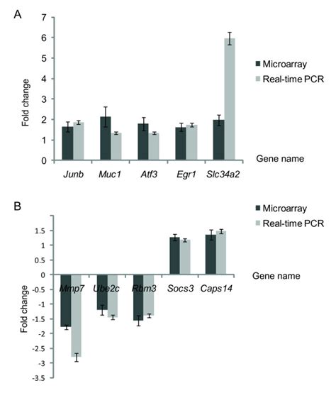 Real Time Pcr Analysis And Microarray Comparison A Real Time Pcr Download Scientific Diagram