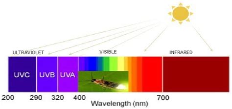 Wavelength Sizes And Color Created In Download