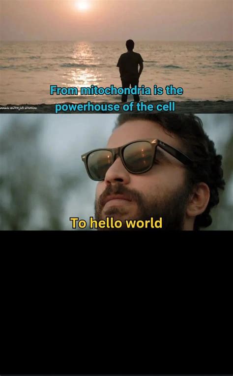 Omaima Ali Khan On Linkedin From Mitochondria Is The Powerhouse Of The Cell To Hello