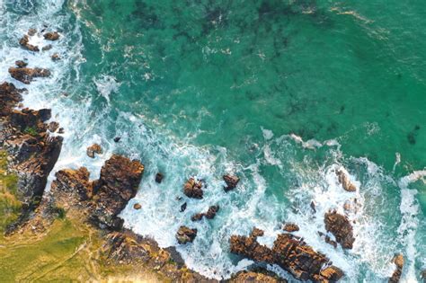 Ocean Ecology Acquires Shoreline Surveys Ltd Ocean Ecology