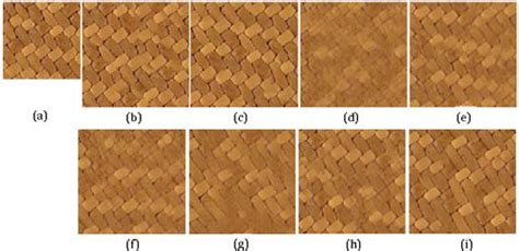 multi level synthesis a input texture b synthesis result without download scientific