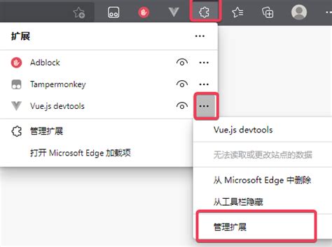 在Edge上安装与测试Vue devtools开发者工具 帕图纳克斯 博客园