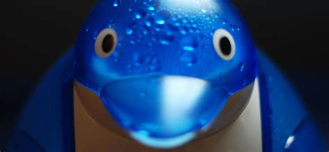 Hack Like A Pro Linux Basics For The Aspiring Hacker Part 14 Mysql