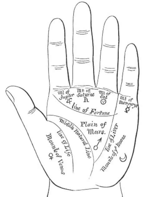 Palm Reading
