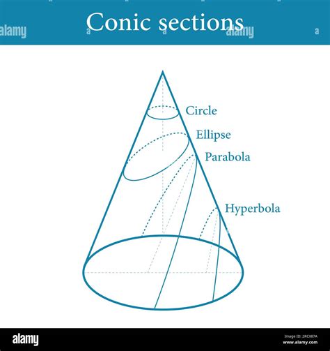 Types Of Conic Sections Circle Ellipse Parabola And Hyperbola Vector Illustration Isolated