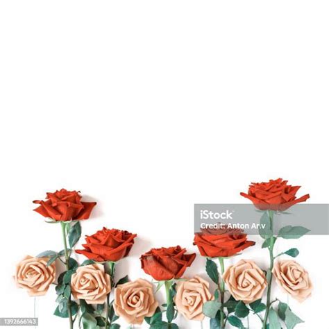 생일 약혼 결혼식 기념일 어머니의 날 인사말 카드를위한 꽃 레이아웃 흰색 배경에 고립 된 빨간색과 베이지 색 장미 상단 보기 플랫 레이 공간을 복사합니다 0명에 대한 스톡