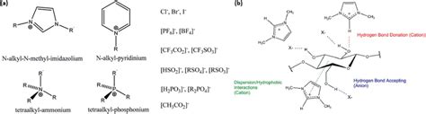 A Examples Of Cations And Anions In Ils B Interactions Between Il