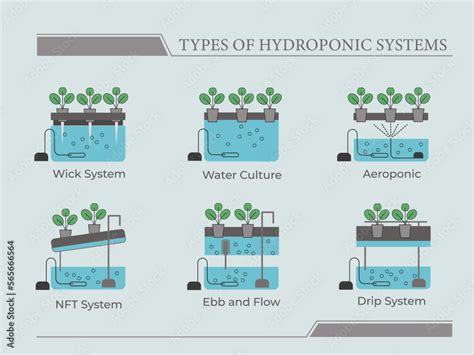 Types Of Hydroponic Systems Nutrient Film Technique Deep Water Culture Aeroponic For Smart