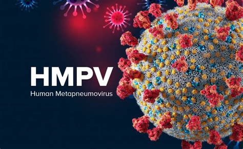 Human Metapneumovirus Hmpv Signs Symptoms And Treatment