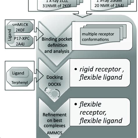 Flowchart Of The Employed Docking Scoring Protocol Download Scientific Diagram