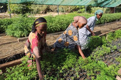 Ayushi Trivedi On Linkedin So Excited To Be A Part This Incredible Project That Centers Gender