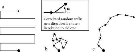 1 possible search strategies a systematic search b correlated