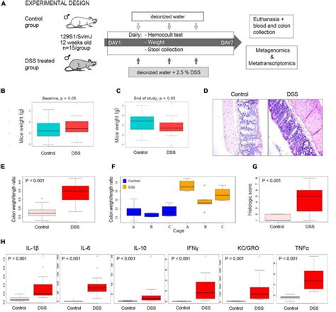 Metagenomics Versus Metatranscriptomics Of The Murine Gut Microbiome For Assessing Microbial