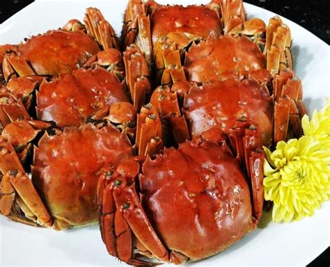 知味老頭持大閘蟹牌照 香港江蘇大閘蟹觀塘換領大閘蟹2023 KKday