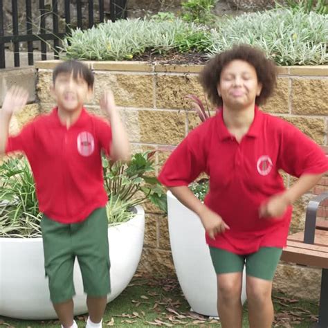 Video Sydney Catholic Schools On Linkedin Schooluniform Rebrand