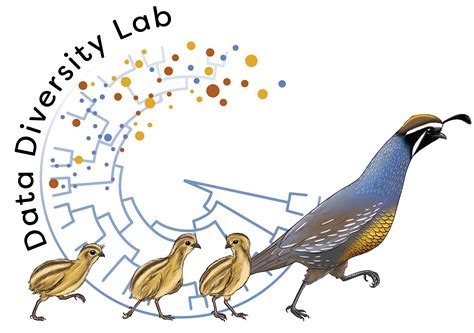 In The News Data Diversity Lab