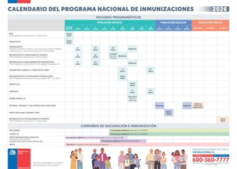 Calendario De Vacunación 2026 Clínica Andes Salud Chillán