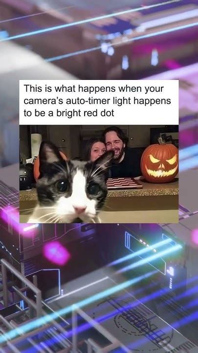 Programming Memes 😂 Sub For More 🖥️👾tech Technology Techtok Fyp Software Code Ai Coding