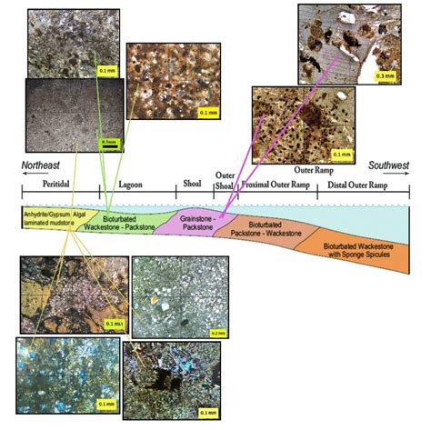 Depositional Model For The Fatha Formation Southern Iraq Download Scientific Diagram