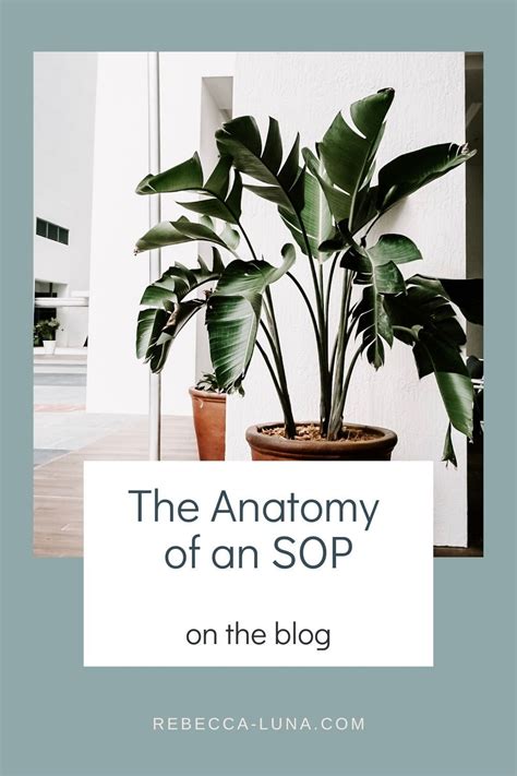 Anatomy Of An Sop Artofit