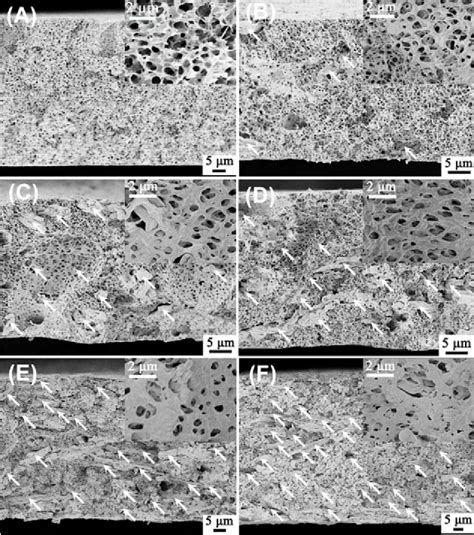 Figure 2 From Ordered Mesoporous Silica Polyvinylidene Fluoride Composite Membranes With Three